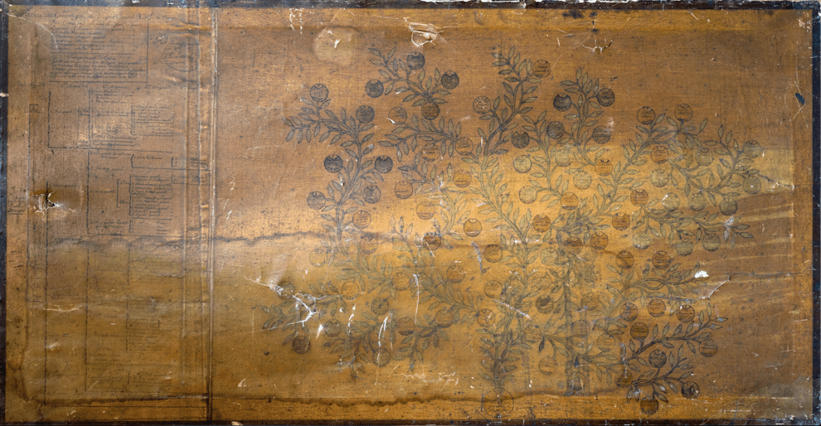 L’origine des QUESTEL – The Saint-Barth Islander